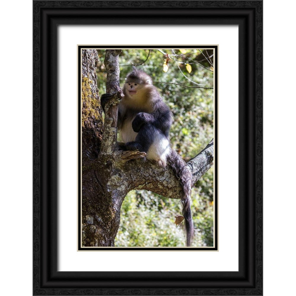 Looney, Hollice 23x32 Black Ornate Wood Framed with Double Matting ...