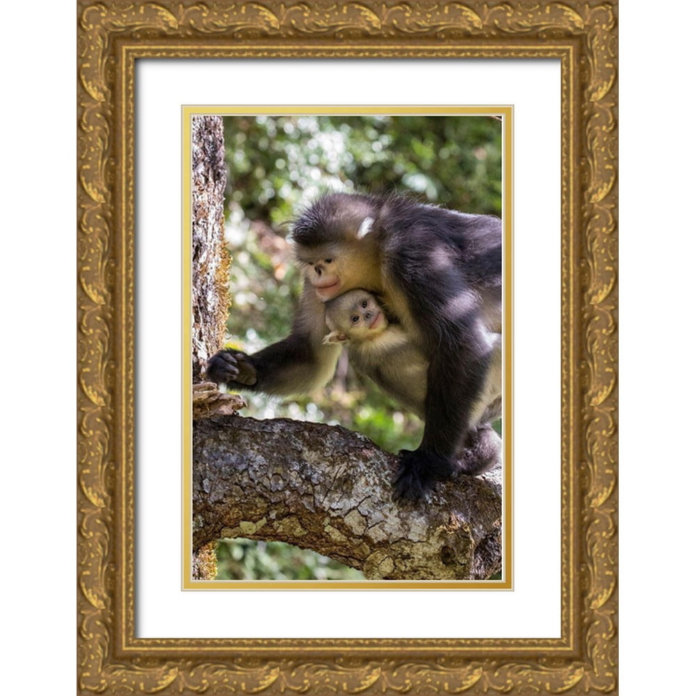 Looney, Hollice 23x32 Gold Ornate Wood Framed with Double Matting ...