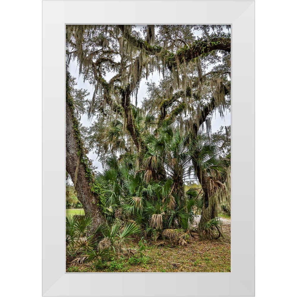 Looney, Hollice 23x32 White Modern Wood Framed Museum Art Print Titled ...