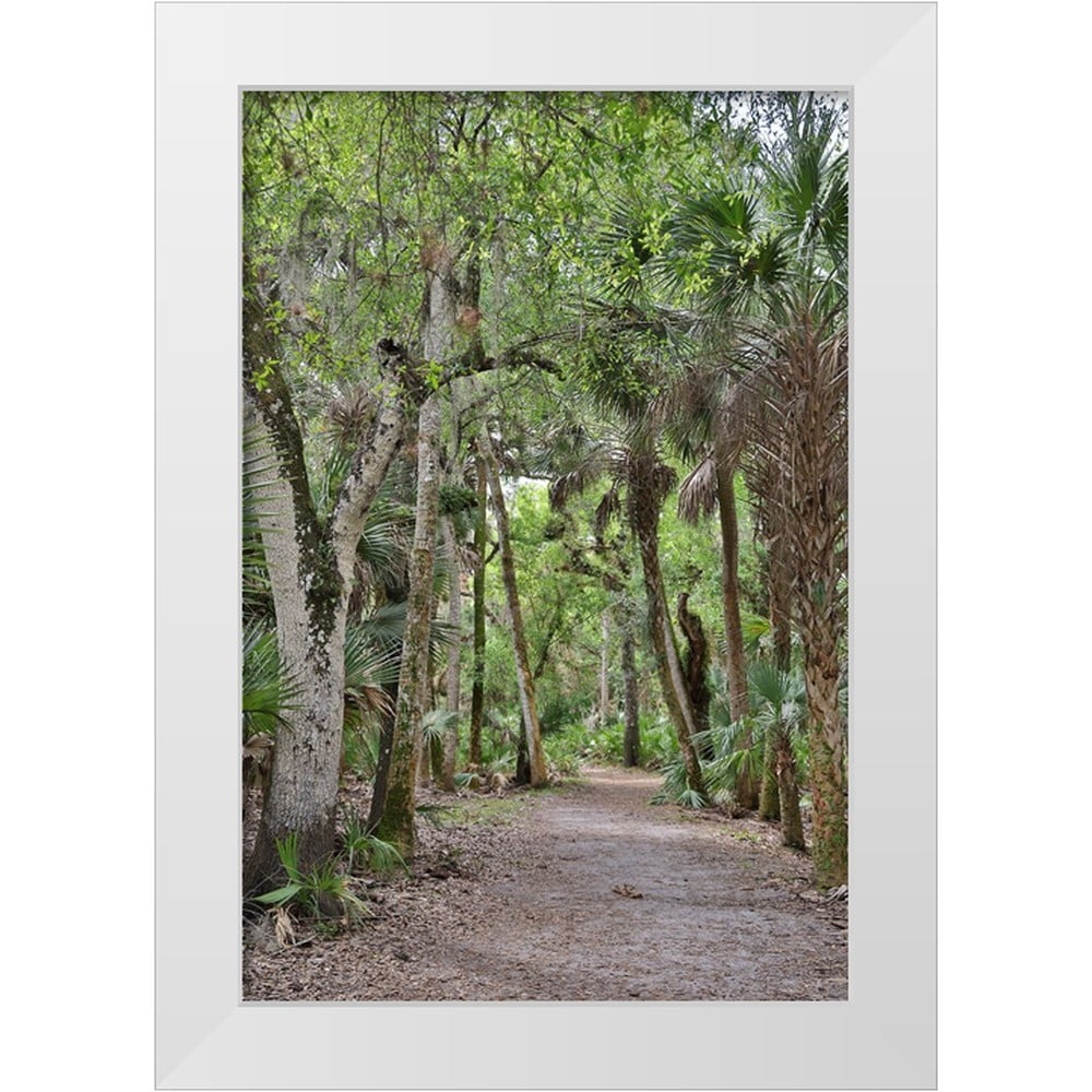 Looney, Hollice 23x32 White Modern Wood Framed Museum Art Print Titled ...