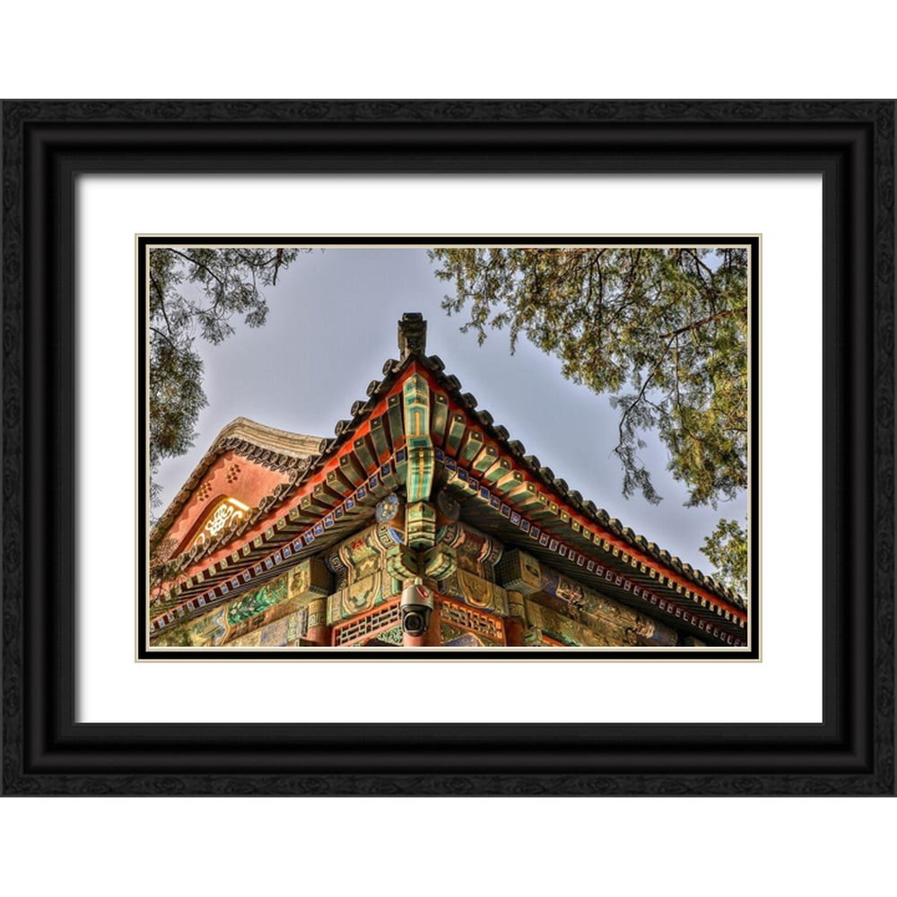 Looney, Hollice 24x17 Black Ornate Wood Framed with Double Matting ...