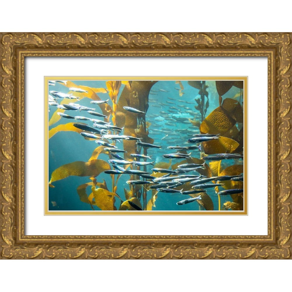 Looney, Hollice 24x17 Gold Ornate Wood Framed with Double Matting ...