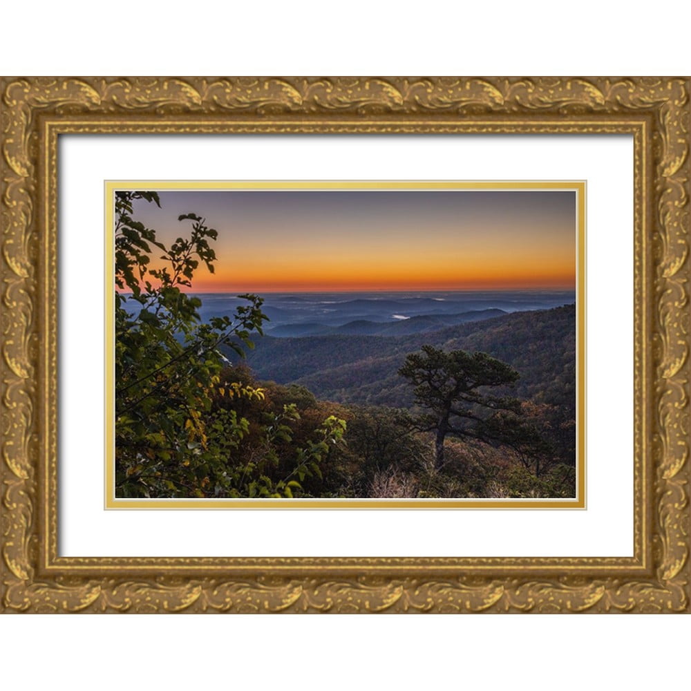 Looney, Hollice 24x17 Gold Ornate Wood Framed with Double Matting ...
