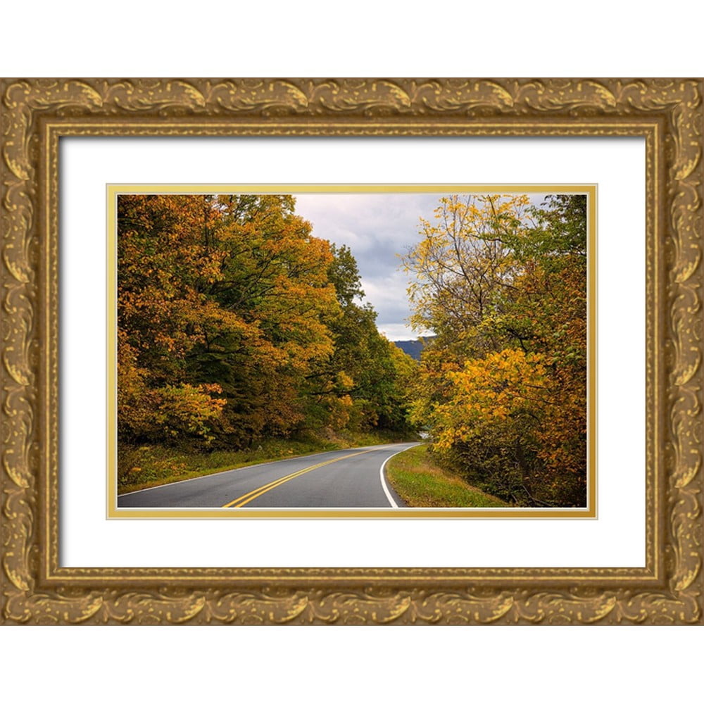 Looney, Hollice 24x17 Gold Ornate Wood Framed with Double Matting ...