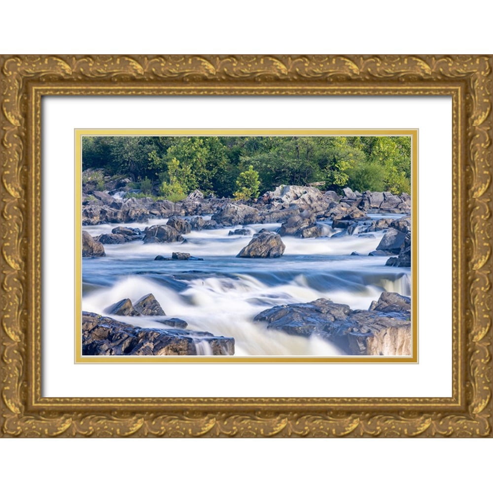 Looney, Hollice 24x17 Gold Ornate Wood Framed with Double Matting ...