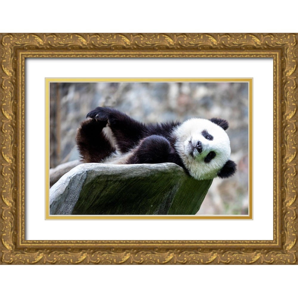 Looney, Hollice 24x17 Gold Ornate Wood Framed with Double Matting ...