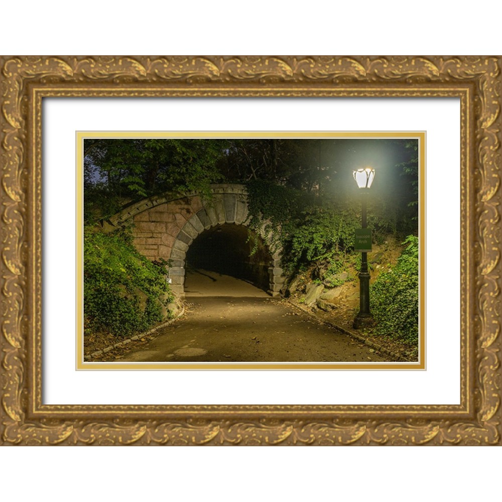 Looney, Hollice 24x17 Gold Ornate Wood Framed with Double Matting ...