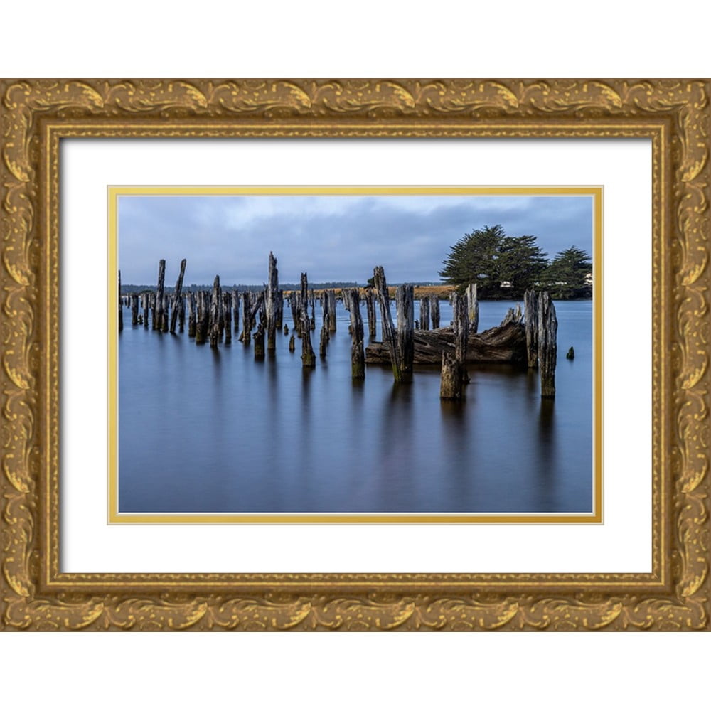 Looney, Hollice 24x17 Gold Ornate Wood Framed with Double Matting ...