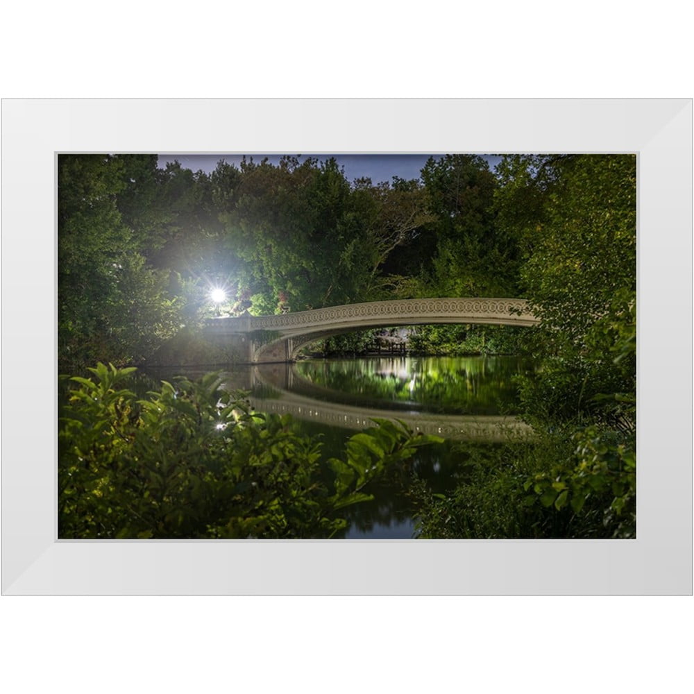 Looney, Hollice 24x17 White Modern Wood Framed Museum Art Print Titled ...