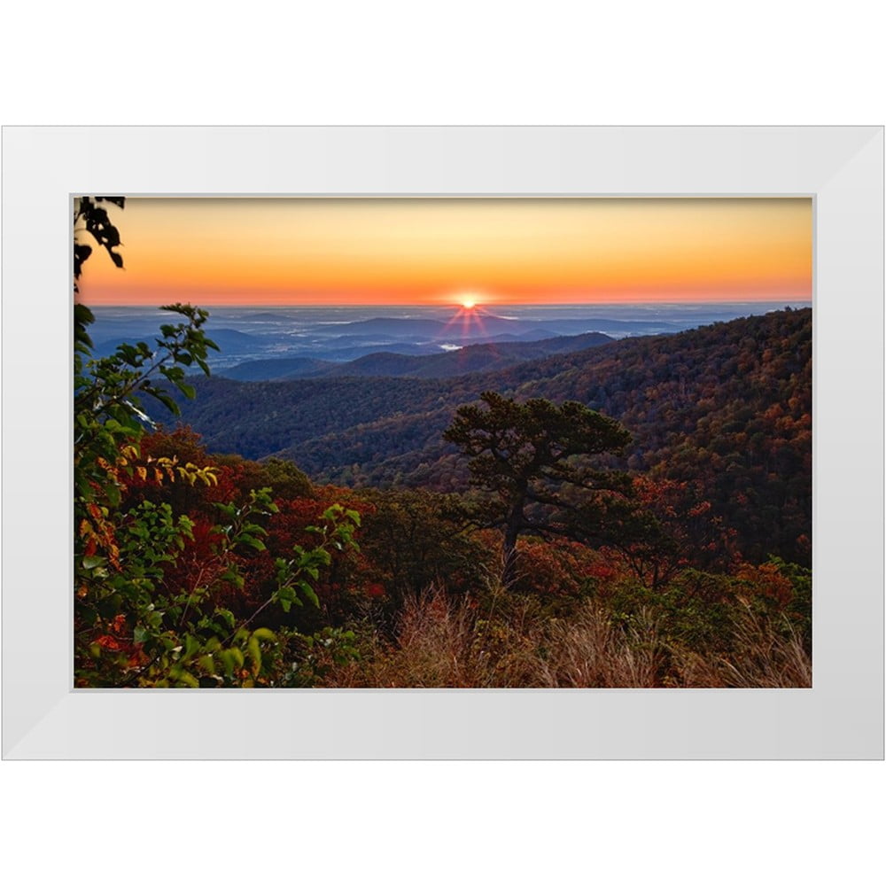 Looney, Hollice 24x17 White Modern Wood Framed Museum Art Print Titled ...