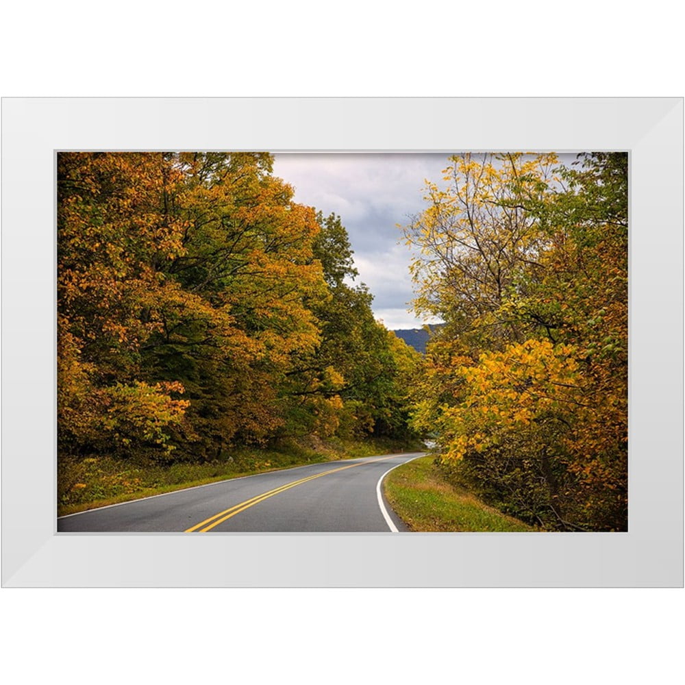 Looney, Hollice 24x17 White Modern Wood Framed Museum Art Print Titled ...