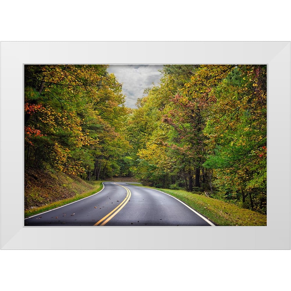 Looney, Hollice 24x17 White Modern Wood Framed Museum Art Print Titled ...