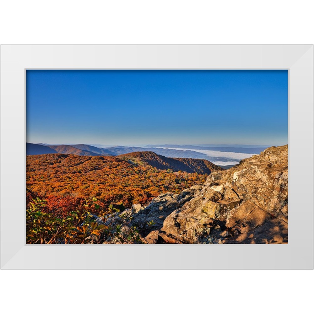 Looney, Hollice 24x17 White Modern Wood Framed Museum Art Print Titled ...