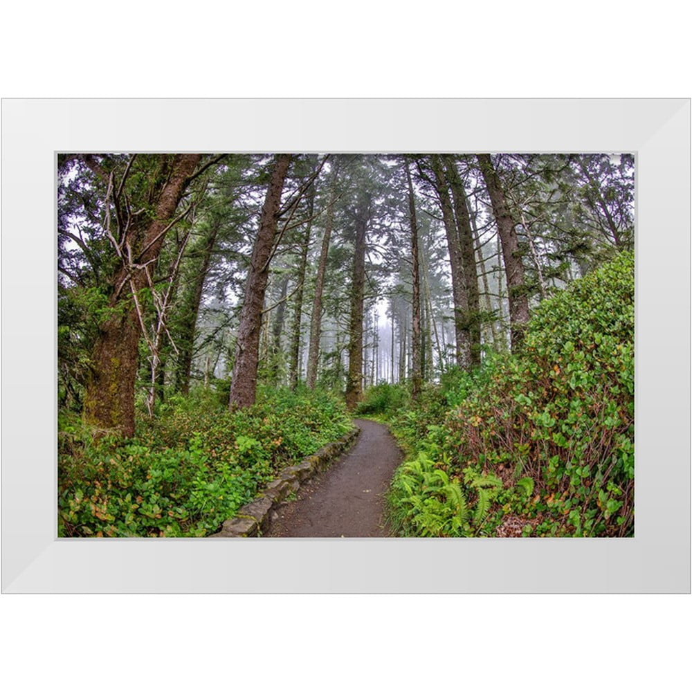 Looney, Hollice 24x17 White Modern Wood Framed Museum Art Print Titled ...