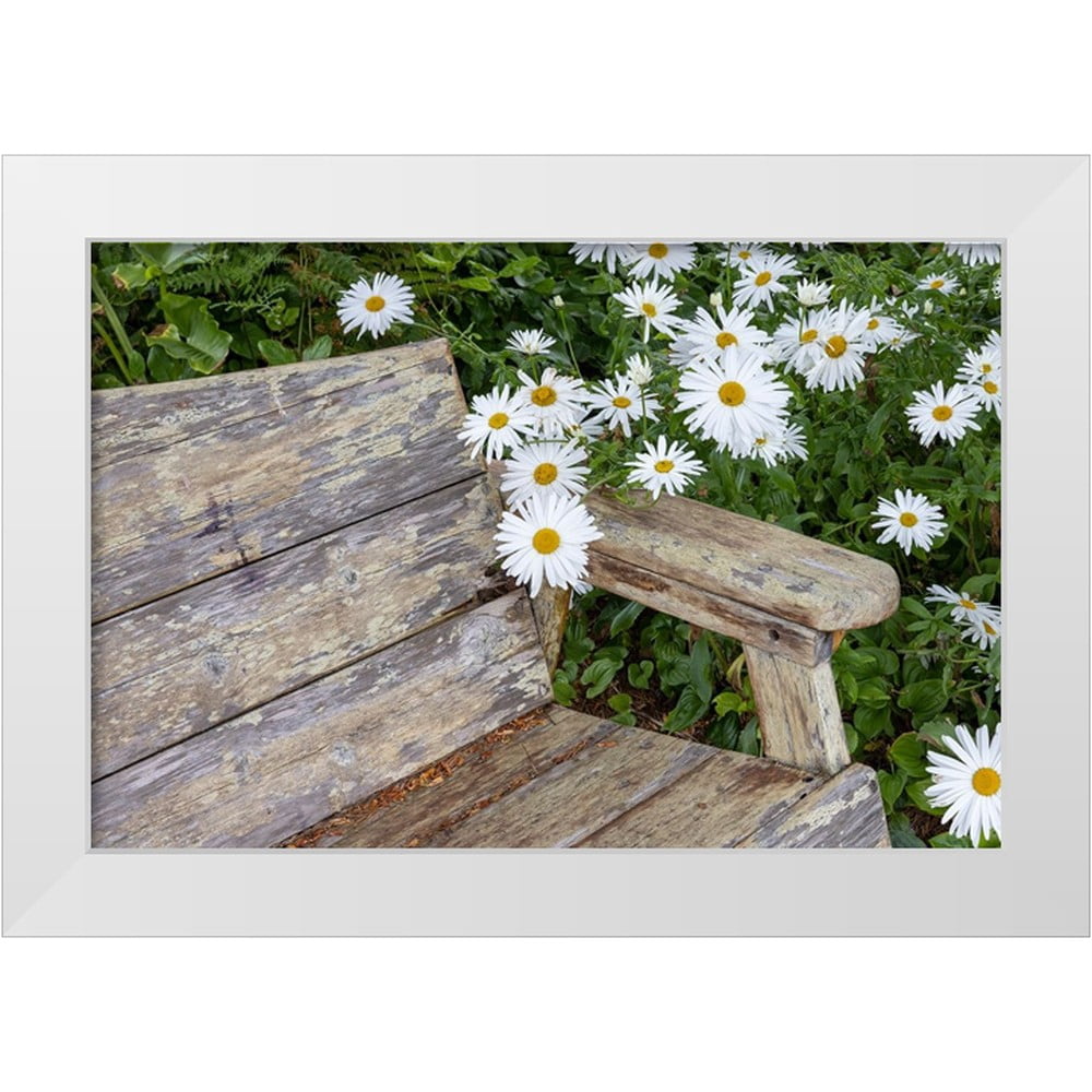 Looney, Hollice 24x17 White Modern Wood Framed Museum Art Print Titled ...