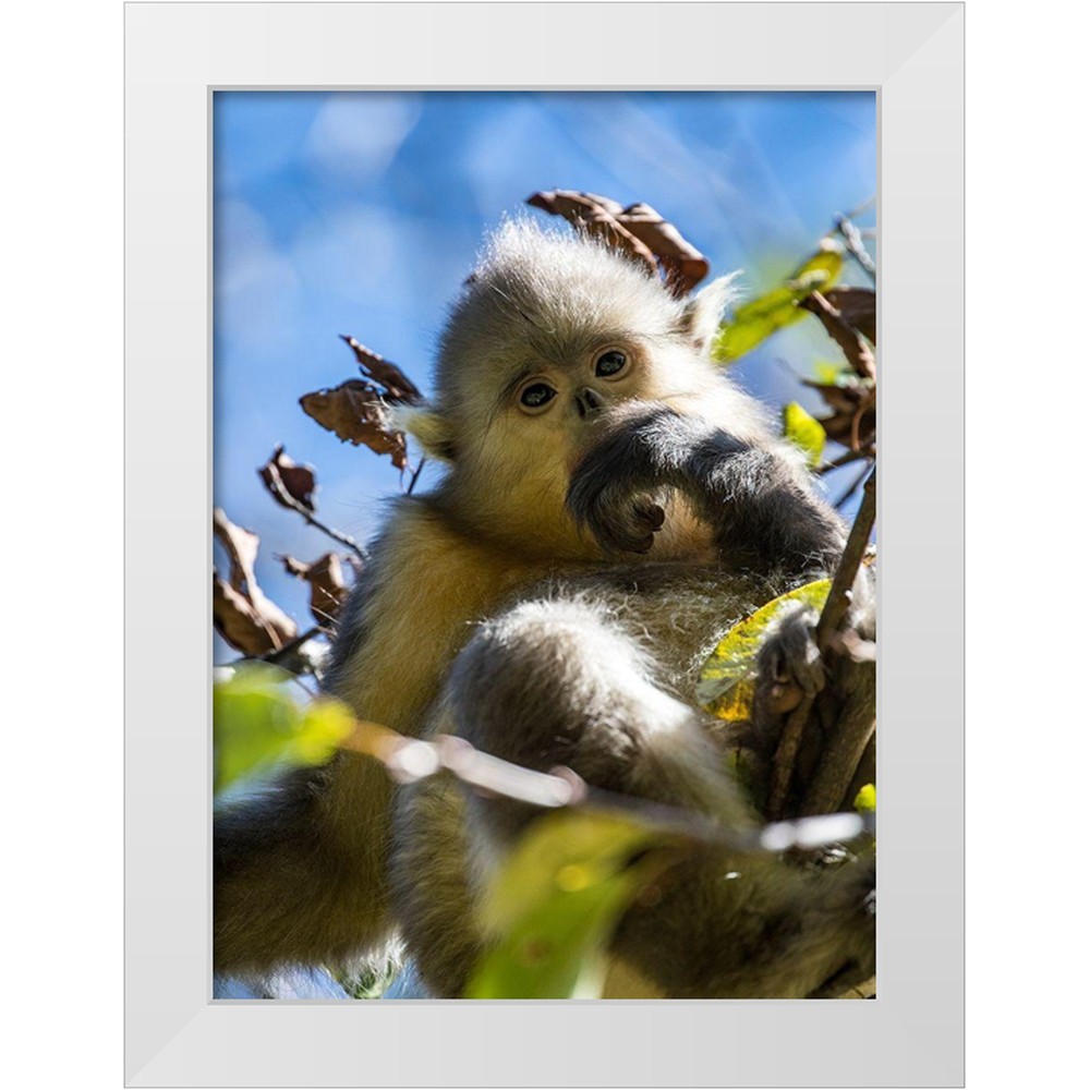 Looney, Hollice 24x32 White Modern Wood Framed Museum Art Print Titled ...