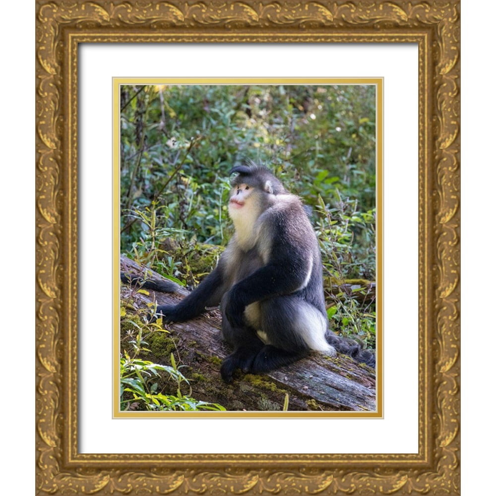 Looney, Hollice 26x32 Gold Ornate Wood Framed with Double Matting ...