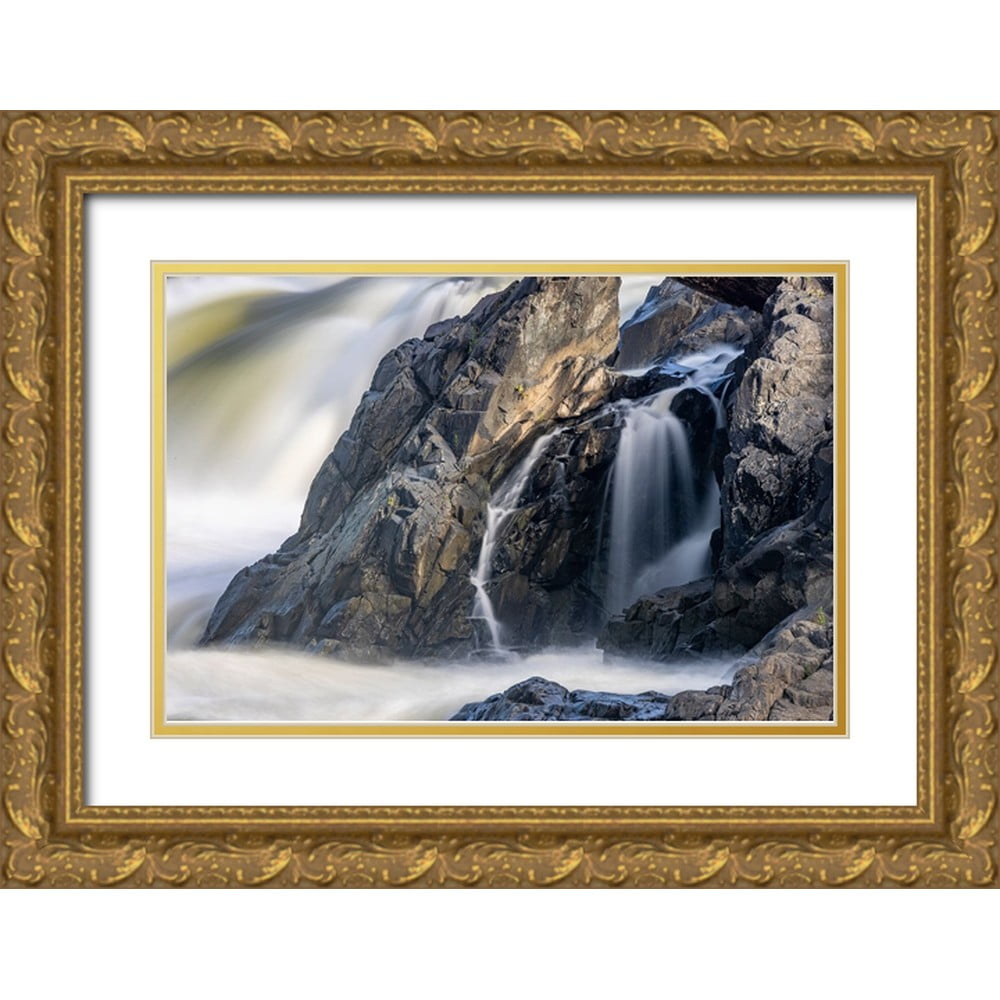 Looney, Hollice 32x23 Gold Ornate Wood Framed with Double Matting ...