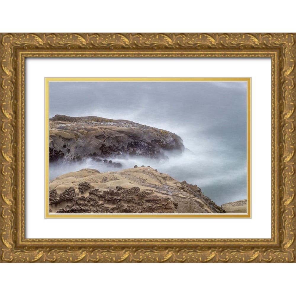 Looney, Hollice 32x23 Gold Ornate Wood Framed with Double Matting ...