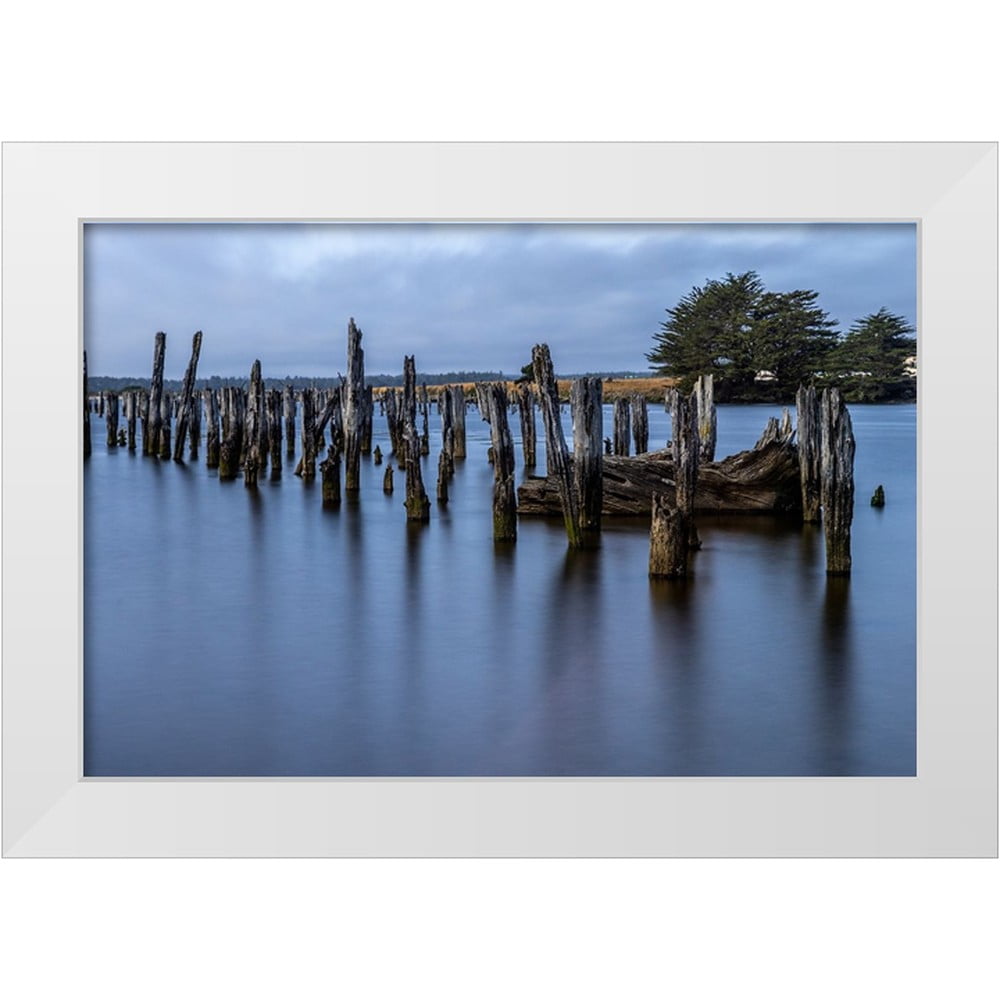 Looney, Hollice 32x23 White Modern Wood Framed Museum Art Print Titled ...