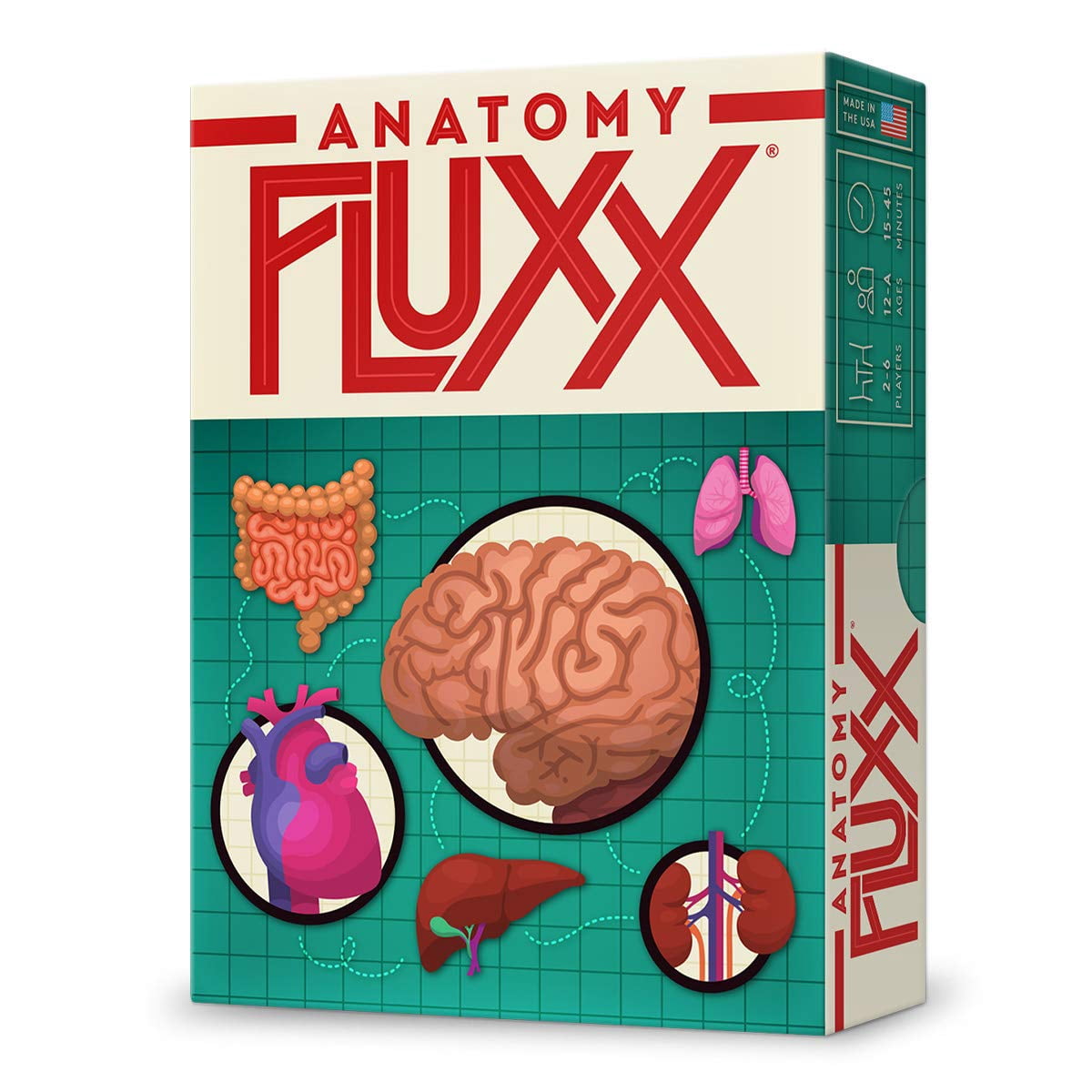 Looney Labs Anatomy Fluxx Card Game - Varied Gameplay and Doctor ...