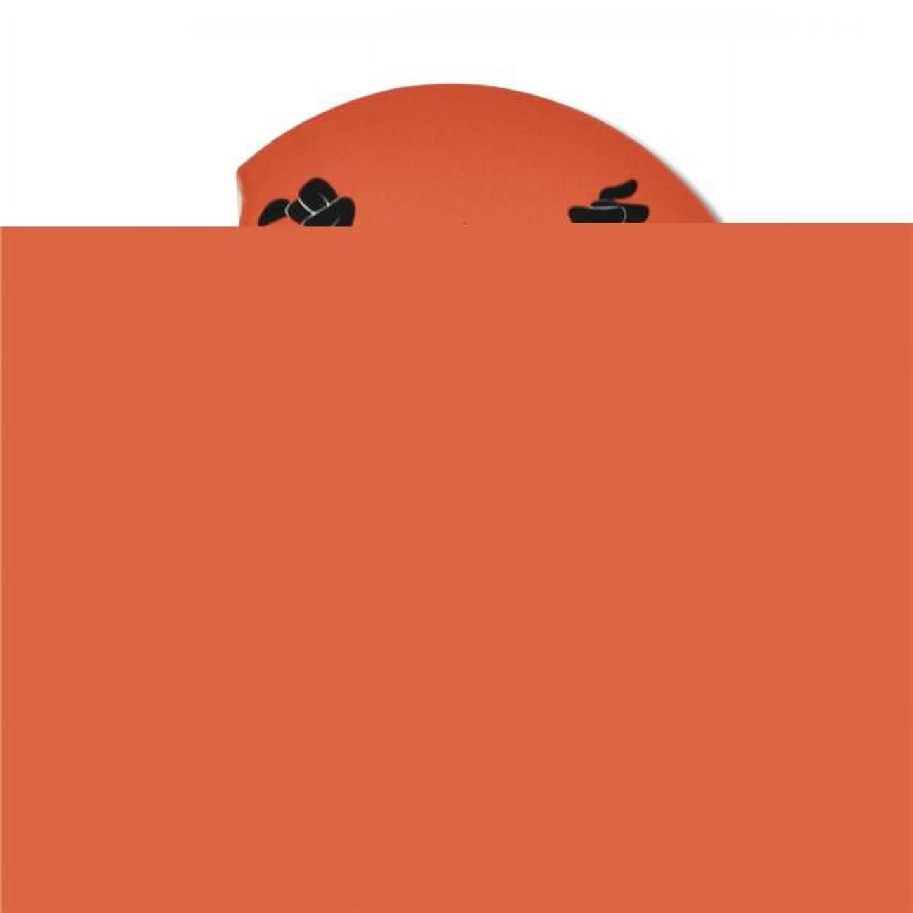 Looney Tunes 833249 Looney Tunes Daffy Duck Character Absorbent Car ...