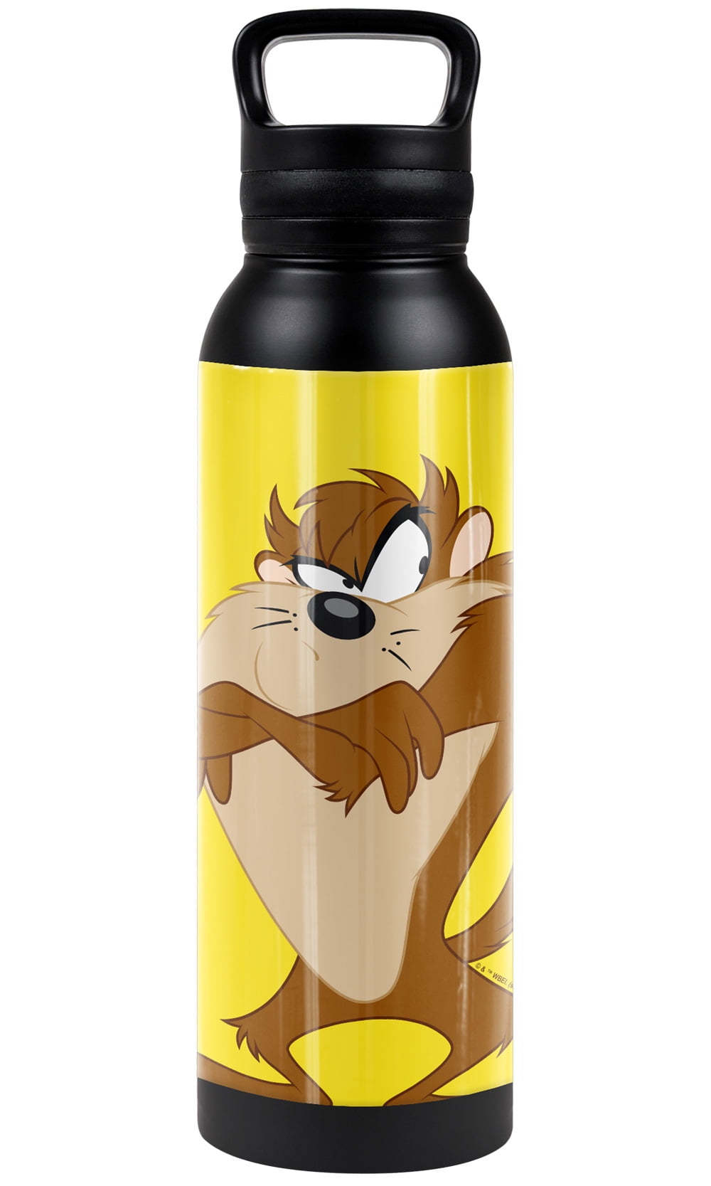 Looney Tunes Official Taz 24 oz Insulated Canteen Water Bottle, Leak ...