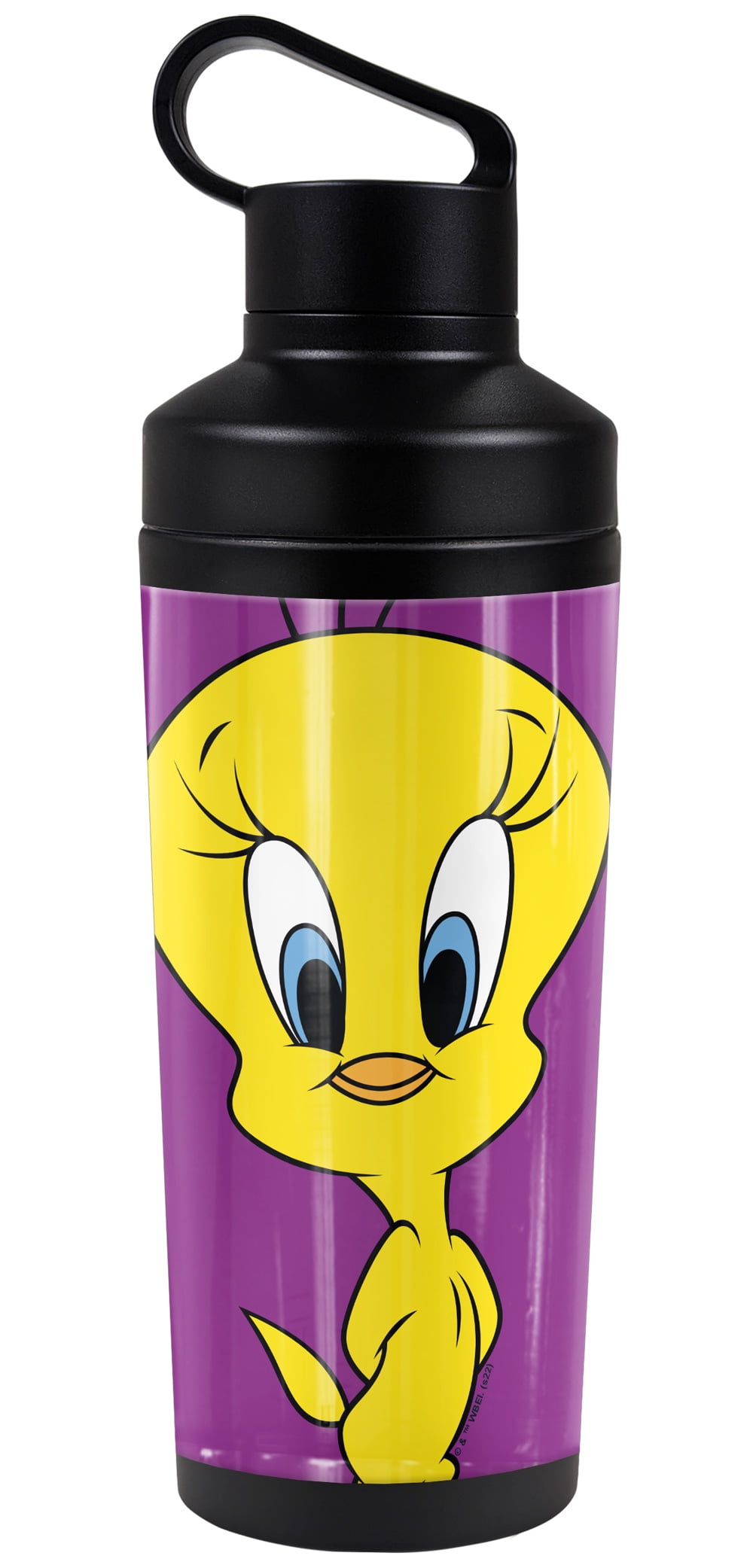Looney Tunes Official Tweety Bird Pose 18 oz Insulated Water Bottle ...