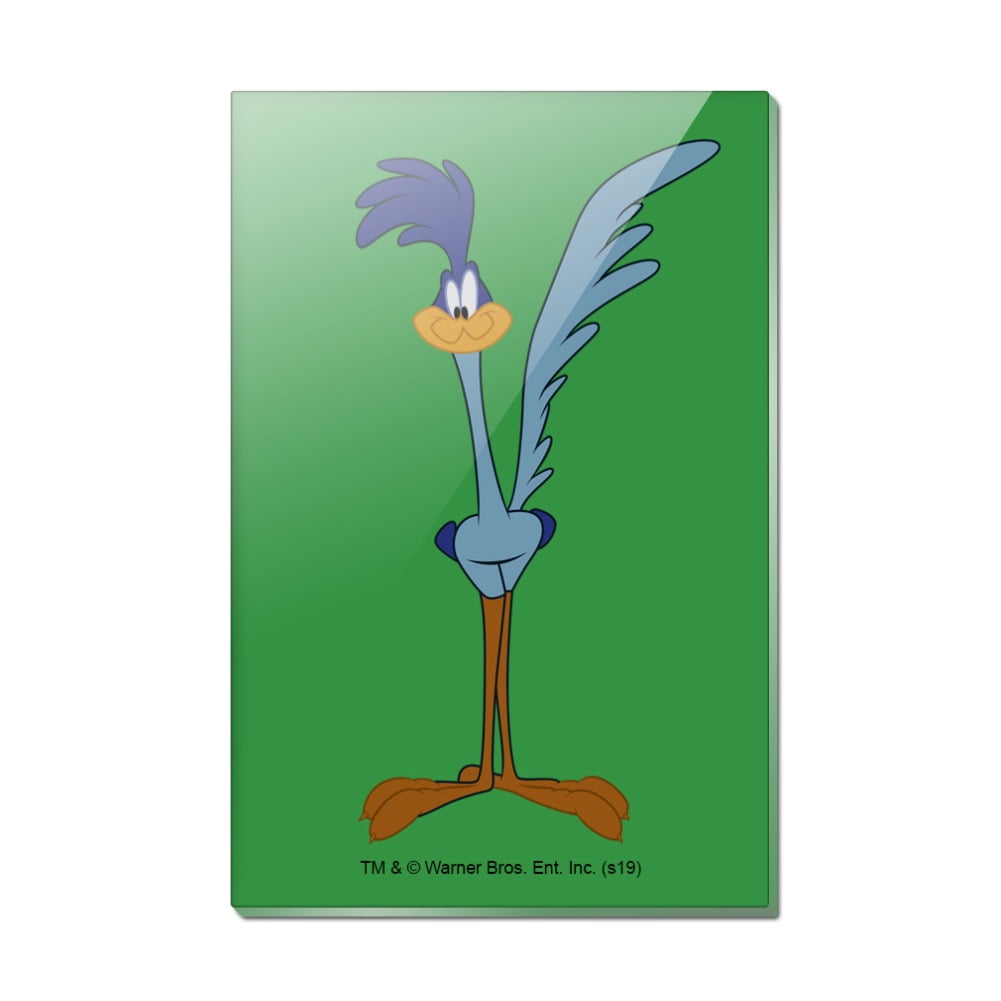Looney Tunes Road Runner Rectangle Acrylic Fridge Refrigerator Magnet ...