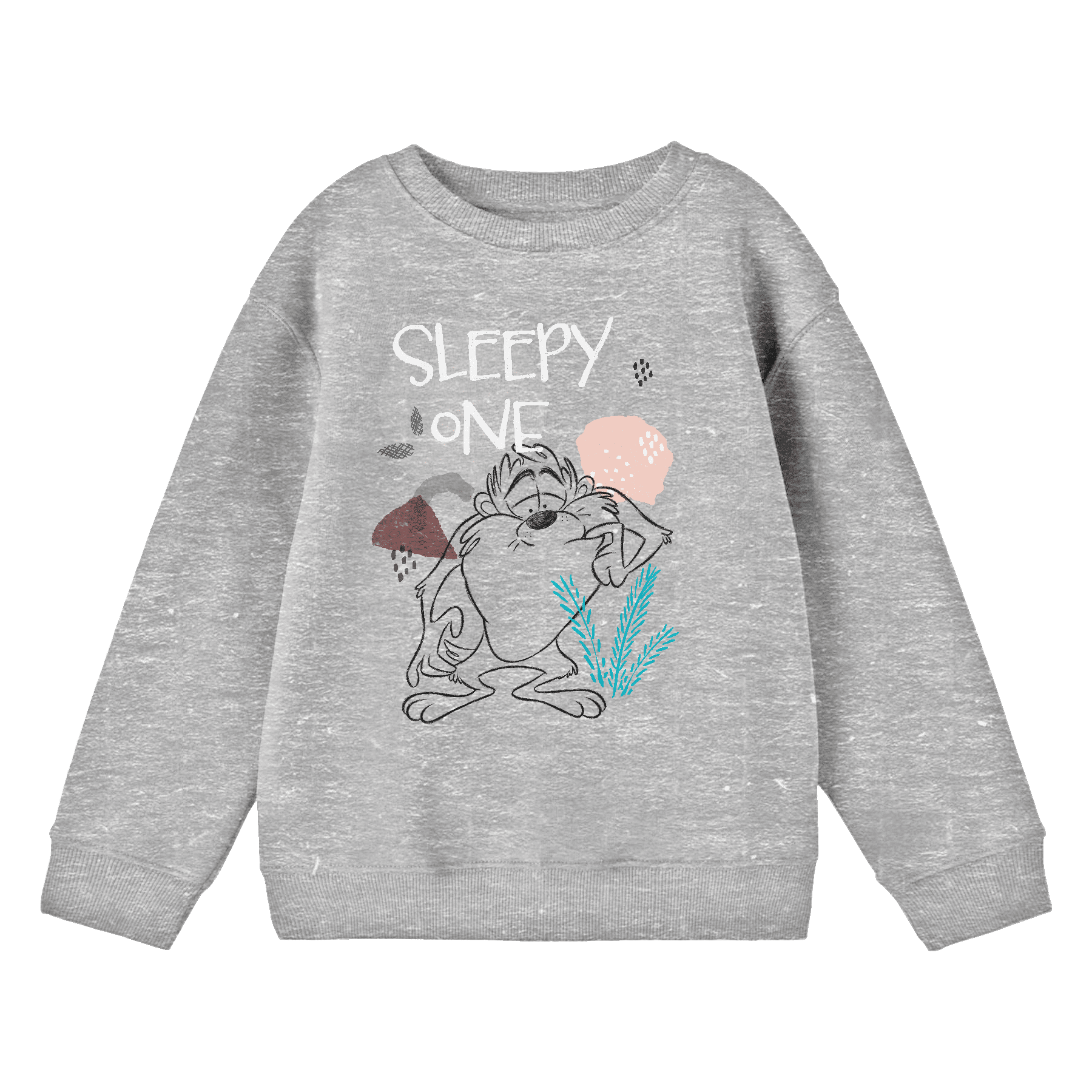 Looney Tunes Sleepy One Taz Youth Heather Gray Crew Neck Sweatshirt ...