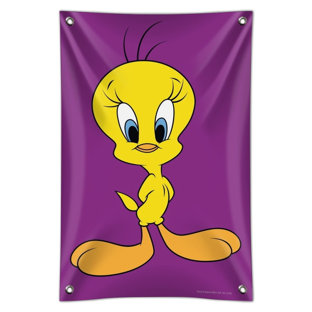 Looney Tunes Tweety Bird Home Business Office Sign - Walmart.com