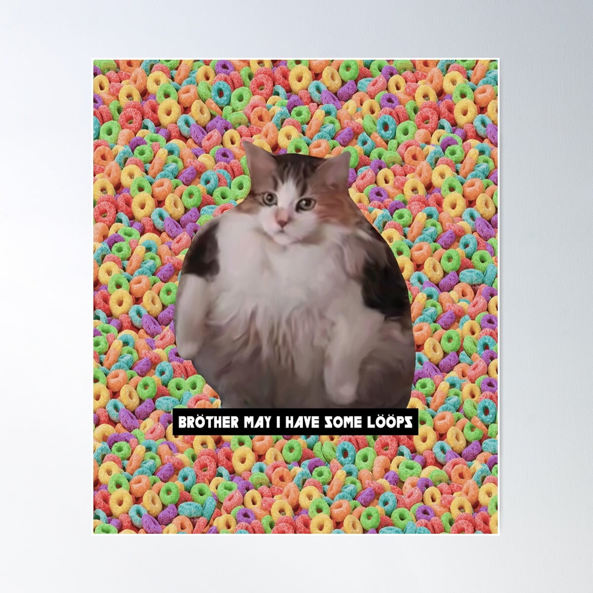 Loops Brother Kitty Poster Wall Art, Modern Wall Decor For Living Room ...