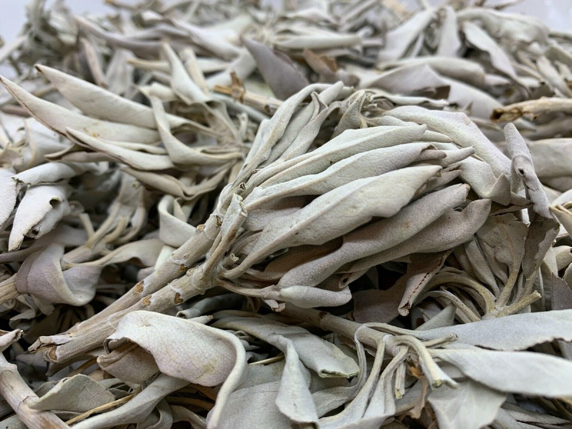 Loose White Sage Smudge Leaves & Clusters, California White Sage ...