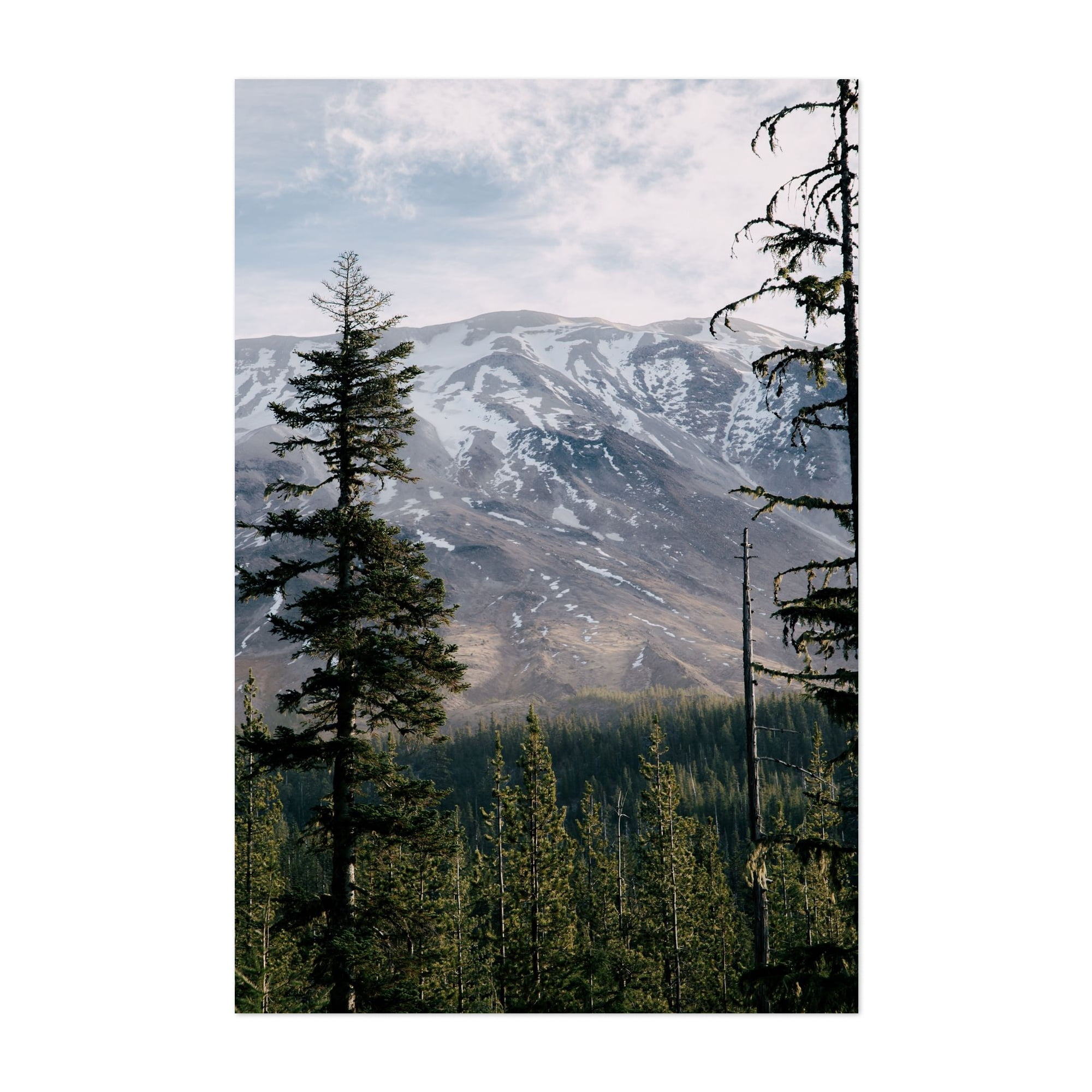 Loowit - Washington Photography Mountain Nature Landscape Forest Scenic ...