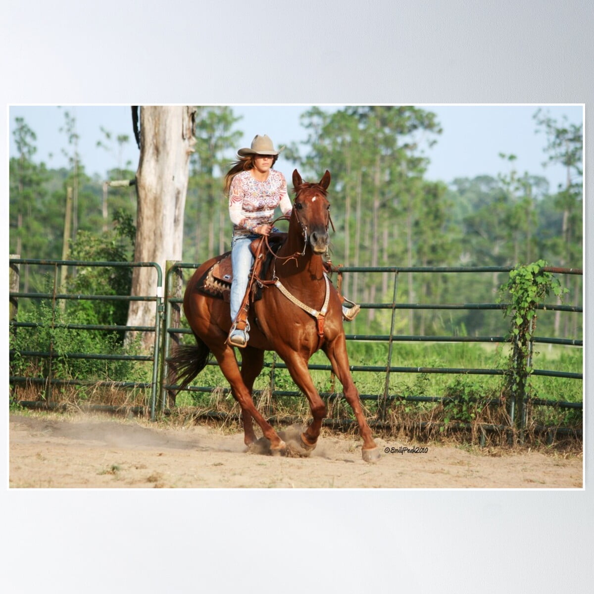 Loping Around Poster, 8x12 UNFRAMED - Walmart.com