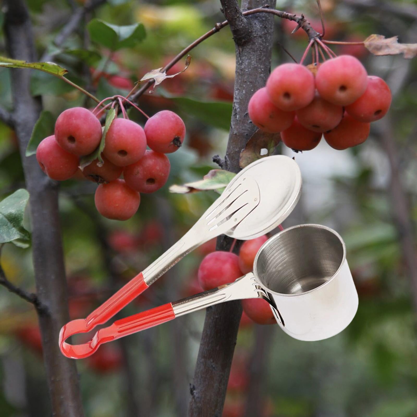 Loquat Jujube Picking Tool Berries Grabber Picker Pepper Tool ...