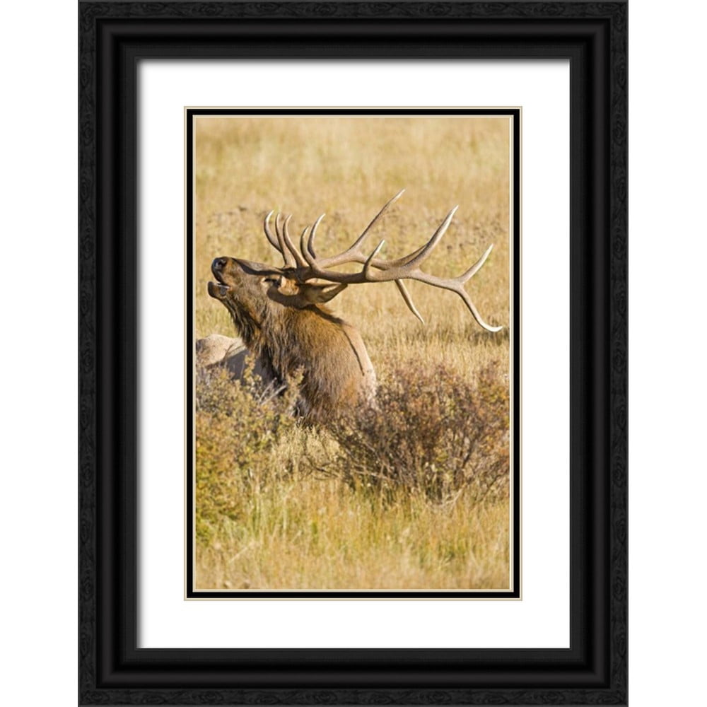 Lord, Fred 11x14 Black Ornate Wood Framed with Double Matting Museum ...
