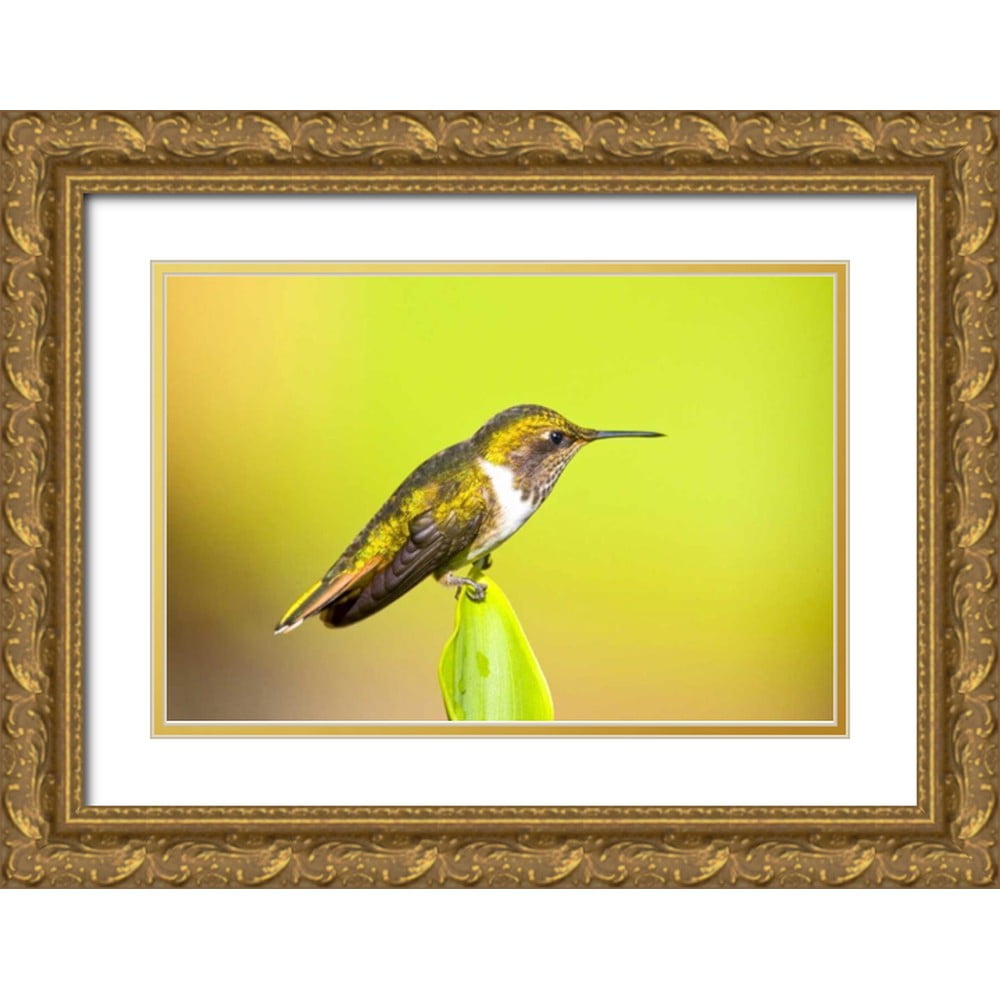 Lord, Fred 14x11 Gold Ornate Wood Framed with Double Matting Museum Art ...