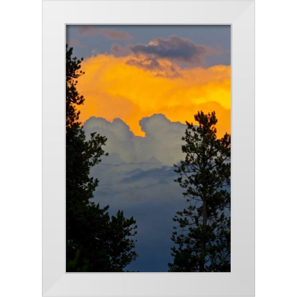 Lord, Fred 17x24 White Modern Wood Framed Museum Art Print Titled - CO ...