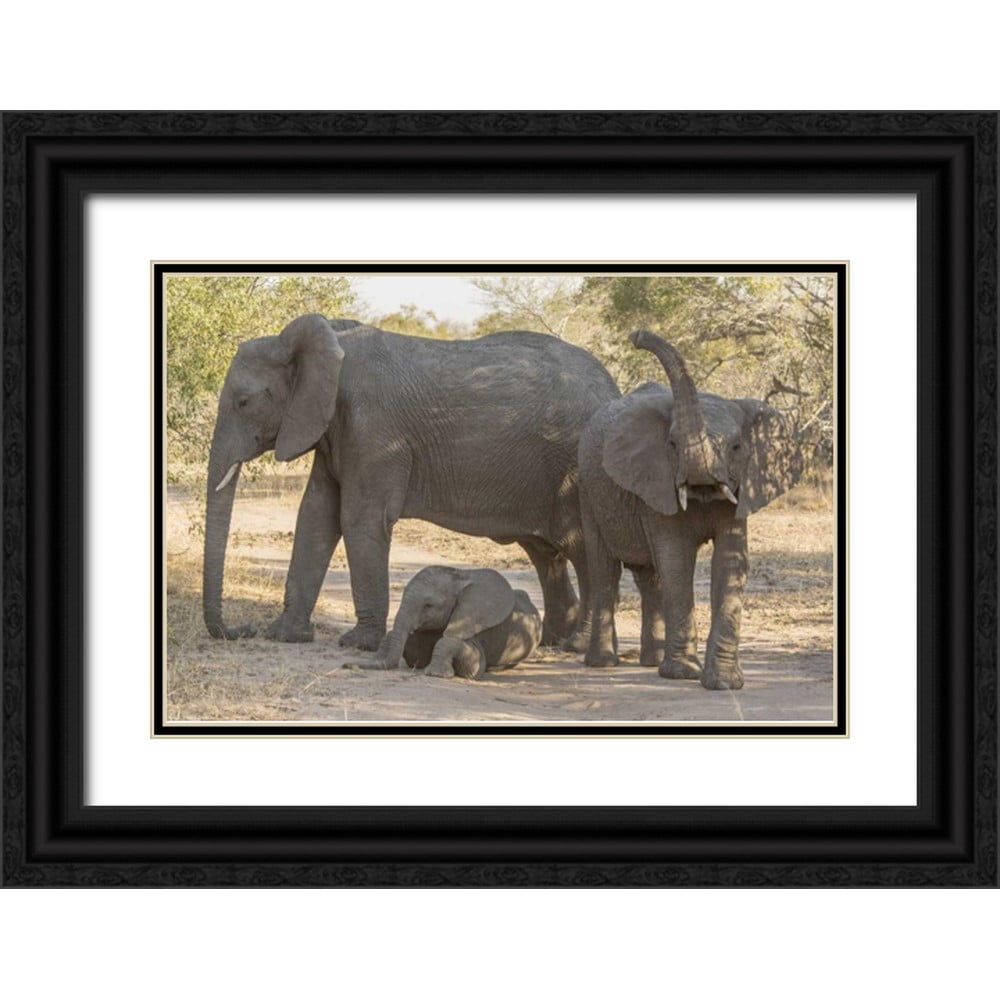 Lord, Fred 18x13 Black Ornate Wood Framed with Double Matting Museum ...