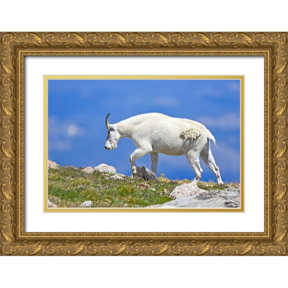 Lord, Fred 18x13 Gold Ornate Wood Framed with Double Matting Museum Art ...