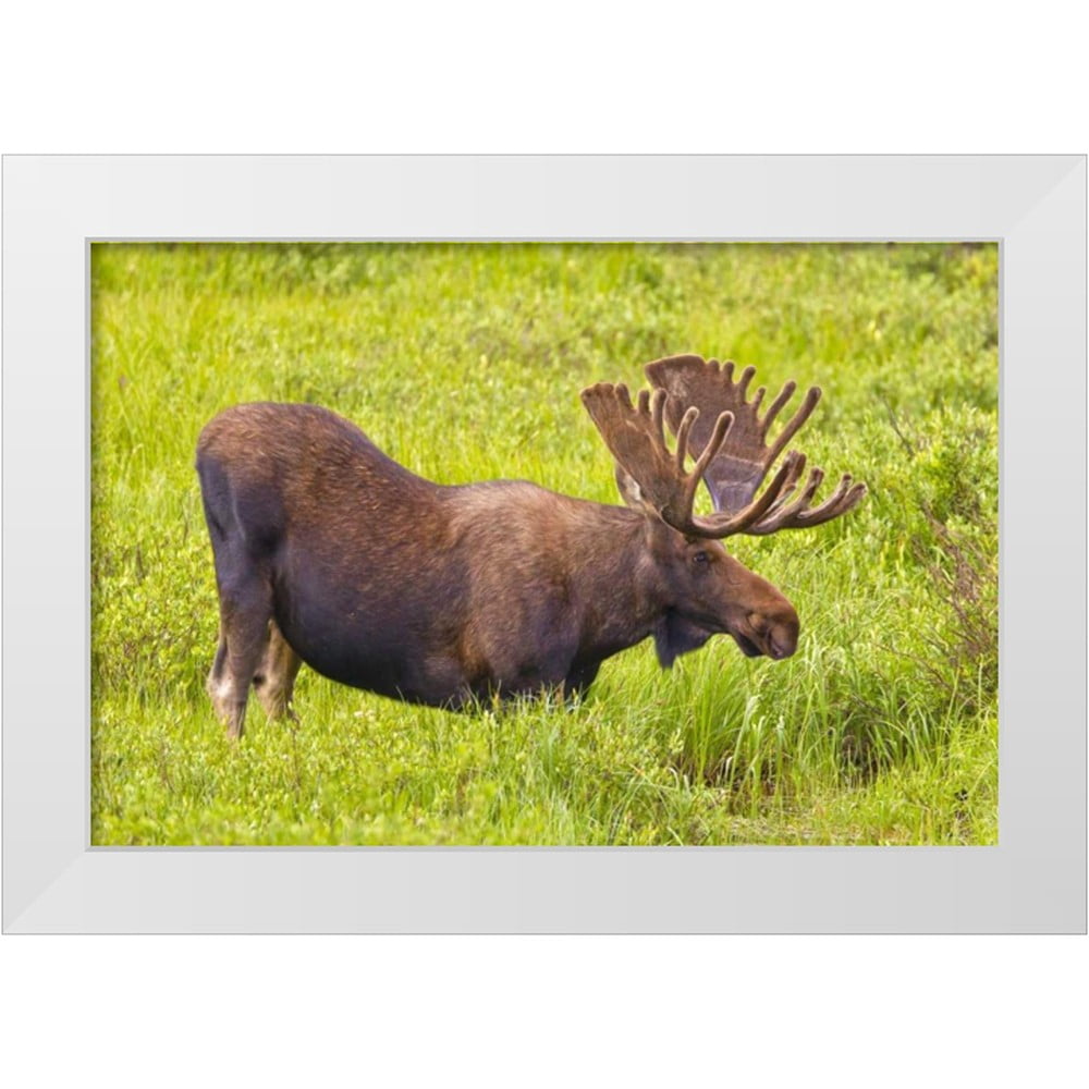 Lord, Fred 18x13 White Modern Wood Framed Museum Art Print Titled - CO ...