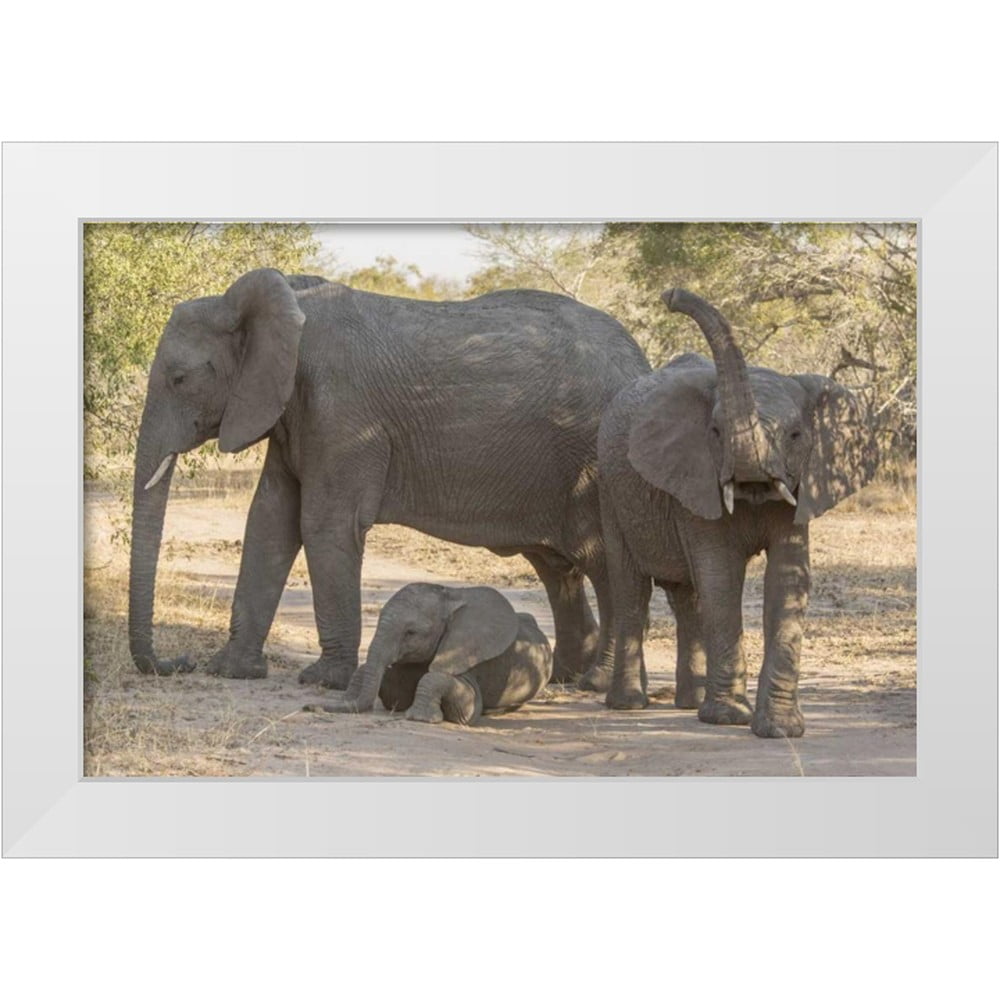 Lord, Fred 18x13 White Modern Wood Framed Museum Art Print Titled ...