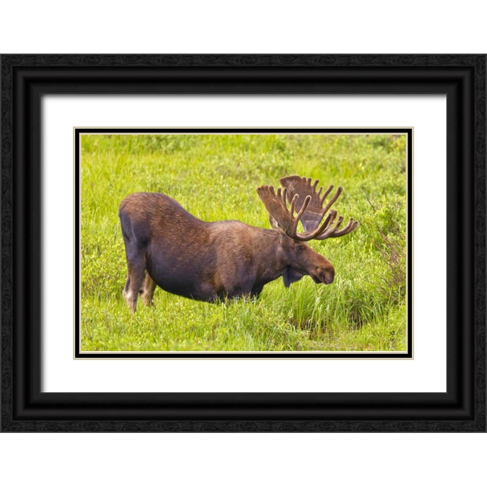 Lord, Fred 24x17 Black Ornate Wood Framed with Double Matting Museum ...