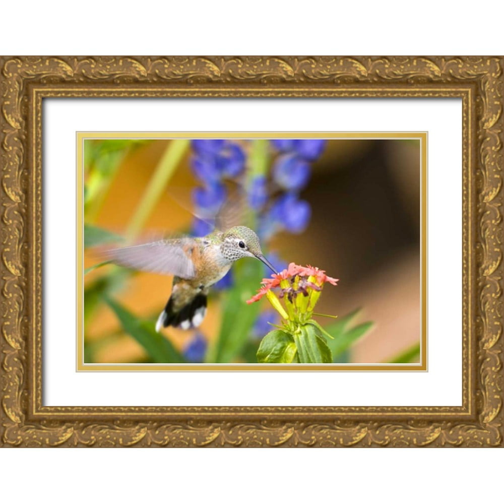 Lord, Fred 24x17 Gold Ornate Wood Framed with Double Matting Museum Art ...