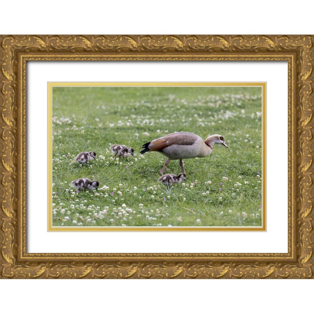 Lord, Fred 24x17 Gold Ornate Wood Framed with Double Matting Museum Art ...