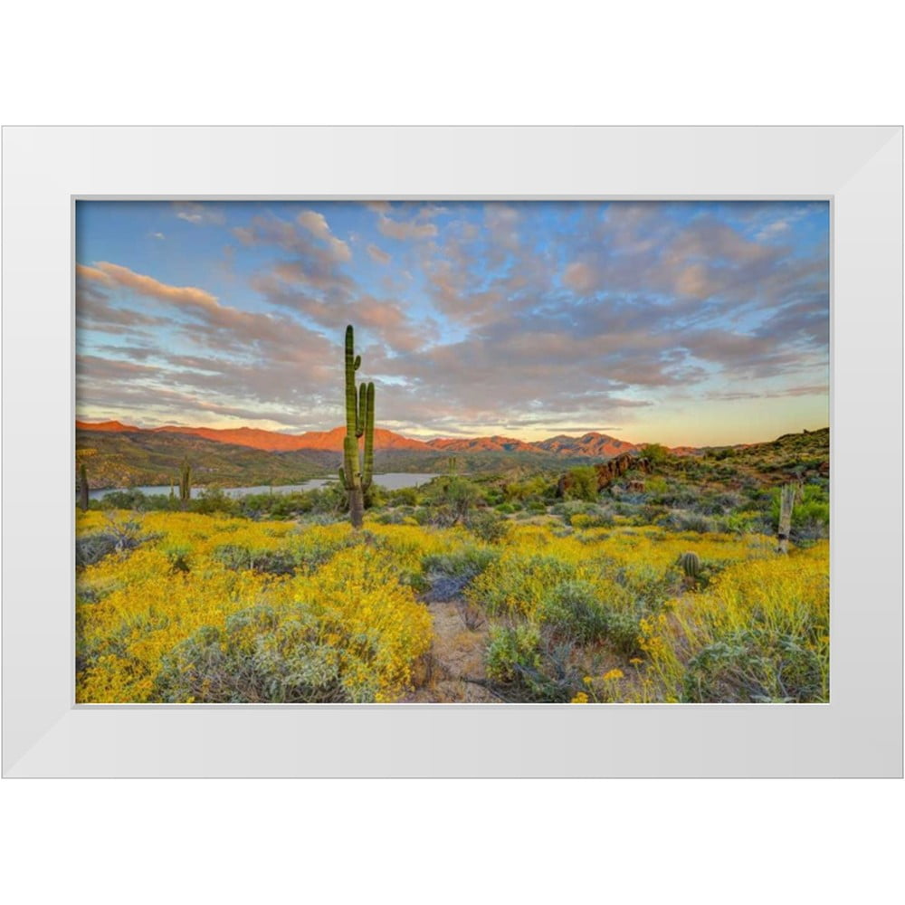 Lord, Fred 24x17 White Modern Wood Framed Museum Art Print Titled - AZ ...