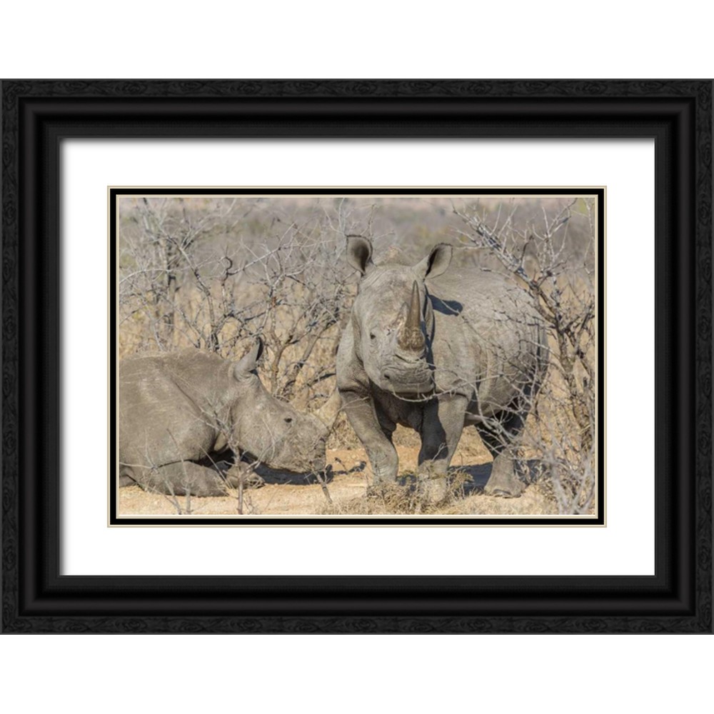Lord, Fred 32x23 Black Ornate Wood Framed with Double Matting Museum ...