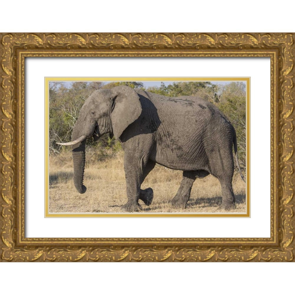 Lord, Fred 32x23 Gold Ornate Wood Framed with Double Matting Museum Art ...