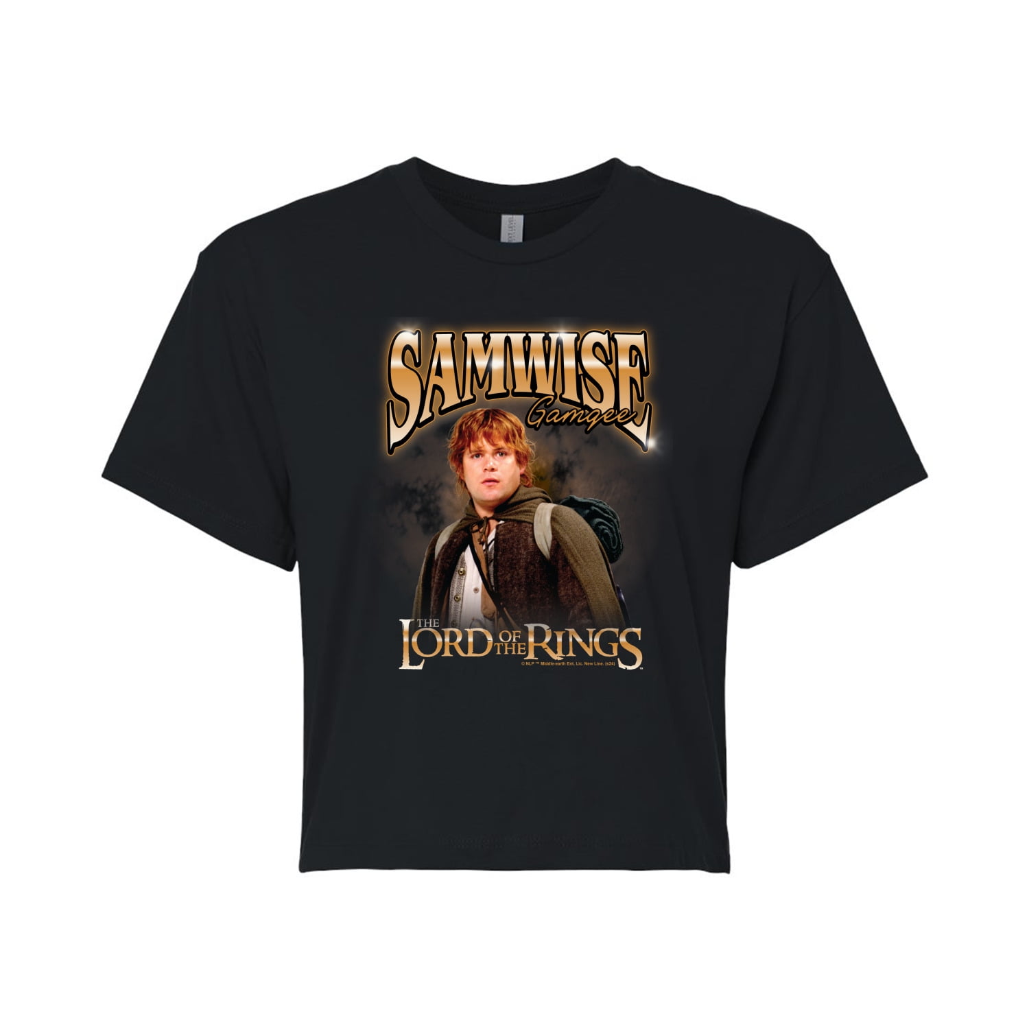 Lord of the Rings - Samwise Gamgee - Womens - Cropped Tee - Walmart.com